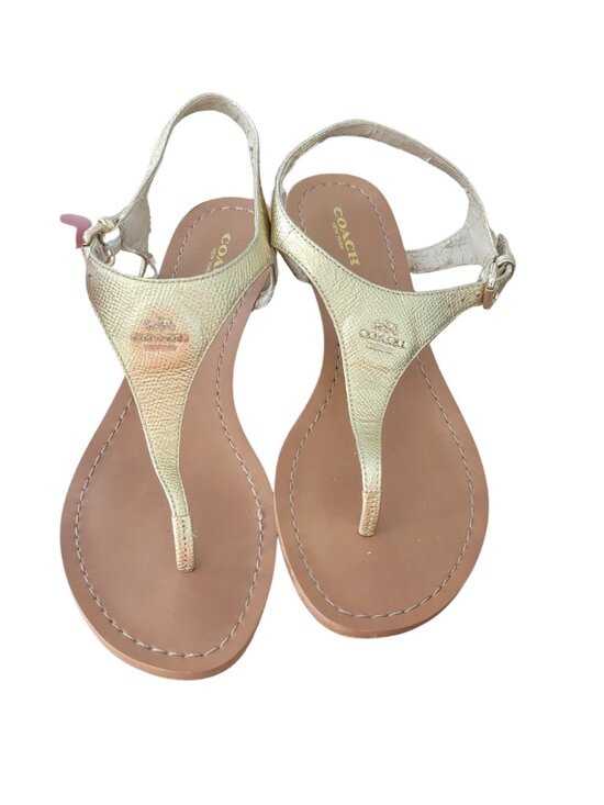 Coach | Shoes | Coach Vitalia Post Toe Thong Wedge Heel Sandals | Poshmark